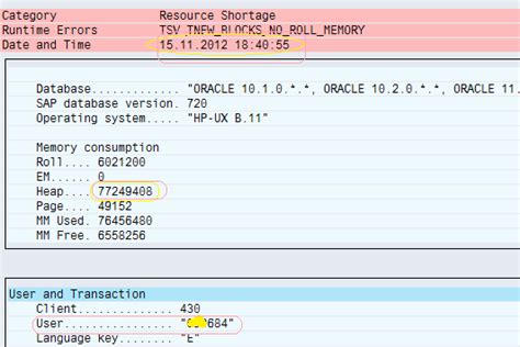 SDF MON SAP Memory Review And Analysis SAP Application Performance