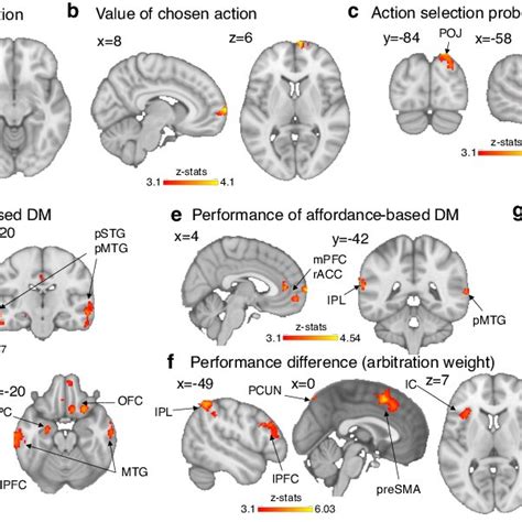neural implementation of the performance based arbitration model a