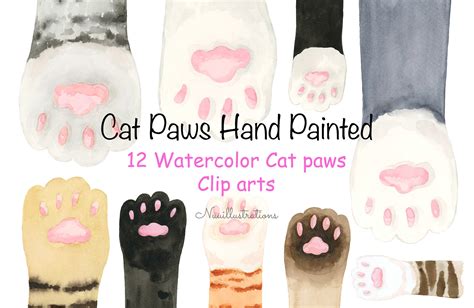 Cat Legs And Paws Graphic By Nuuillustrations · Creative Fabrica