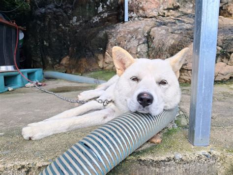 직 접 찍 은 사진 자랑 용암포선착장에서 Daum 카페