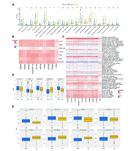 TME Differences And Treatment Sensitivity In FPS Groups A CIBERSORT