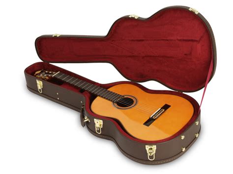 Small Body Acoustic Guitar Case Experience The Access Advantage