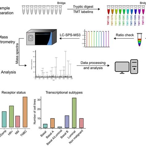 Experimental Overview A Mass Spectrometry Workflow Cell Pellets Were