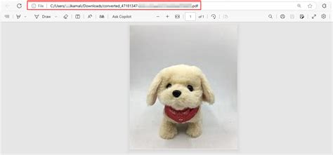 Azure Functions Pdfsharp Unsupported Image Format Using Ximage