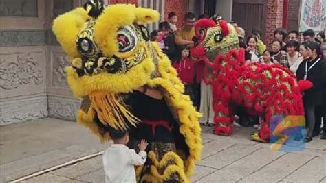 春节新鲜视