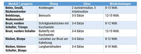 Ganzkörper Trainingsplan Männerfrauen Vorlagen Pdf