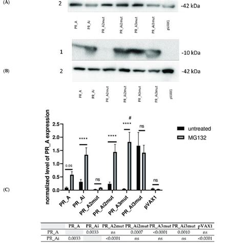 The Effect Of Drug Resistance Dr And Inactivation Mutations On The