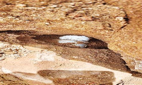 ചേ റ്റു വ യി ലും പ ട ന്ന യി ലും കു ടി വെ ള്ള ക്ഷാ മം രൂ ക്ഷം Severe Shortage Of Drinking Water