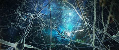 A Self Driving Rc Car And A Complete Guide To Build Your Own Dev