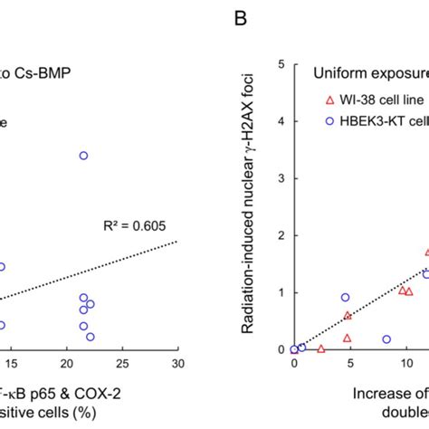 Fractions Of The Nf κb P65 Positive Cox 2 Positive And Double Positive