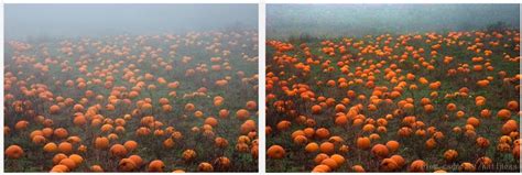 Guided Image Filtering 引导图像滤波 解析图像去雾应用引导滤波去雾 Csdn博客