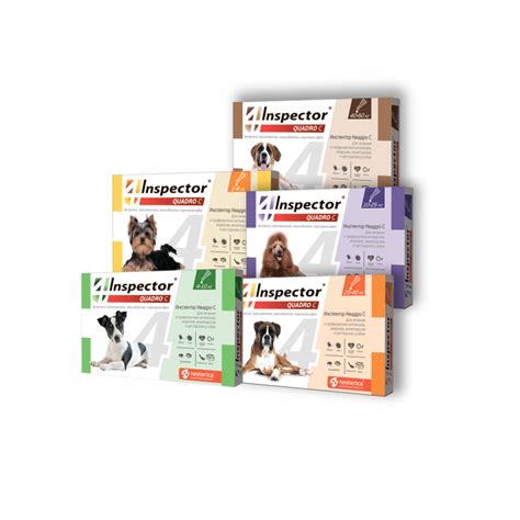 INSPECTOR QUADRO C SPOT-ON FOR DOGS • Megavet