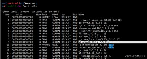 Ldpreload劫持ldpreload存在可疑模块风险 Csdn博客