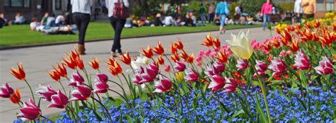 Sexual Misconduct Violence And Harassment University Of Hull