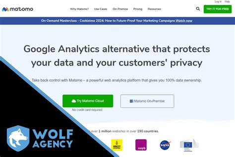 matomo analytics guida completa wolf agency