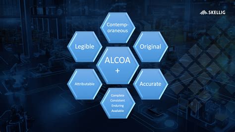 The 9 Principles Of Data Integrity Skellig Automation