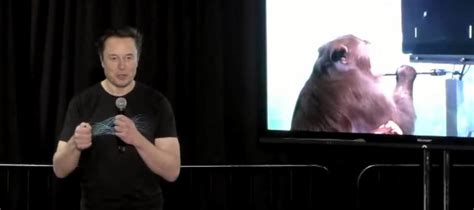 Elon Musks Neuralink Is Shooting To Put Its Coin Sized Brain Implant