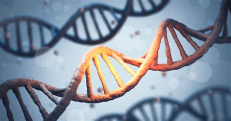 과거 펜데믹 흔적이 내 몸에유전물질의 8는 바이러스