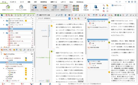 Maxqda Worldsoft
