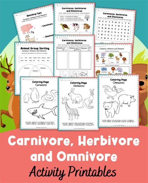 Differences Carnivores Omnivores Herbivores