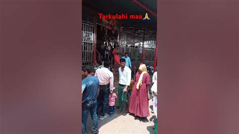 Jai Tarkulahi Maa Tarkulha Mata Mandir Youtube