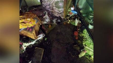 Miscreants Set Fire To Up Members House In Jashore 4 Including C