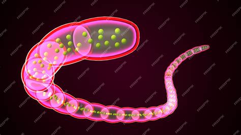 Premium Photo 3d Illustration Of Microscopic Filamentous Structure