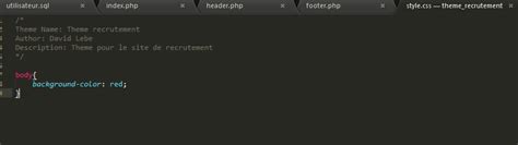 [résolu] [thème wordpress] problème fichier css le css ne s applique