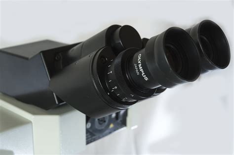 Olympus Bx40 Dual View Microscopes Microscope Central