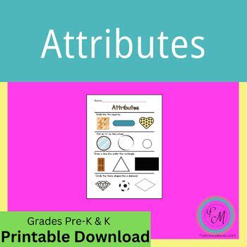 Attributes Sorting Shapes By ThePrimaryMaven TPT
