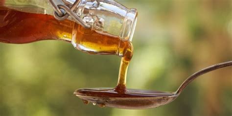 Recept Za Domaći Sirup Za Kašalj Od Borovih Iglica Informer Rs