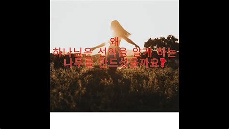 10 왜 하나님은 선악을 알게 하는 나무를 만드셨을까요 Youtube