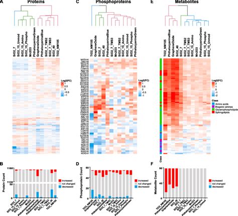 Of Obtained Proteins Phosphoproteins And Metabolites Presented Are