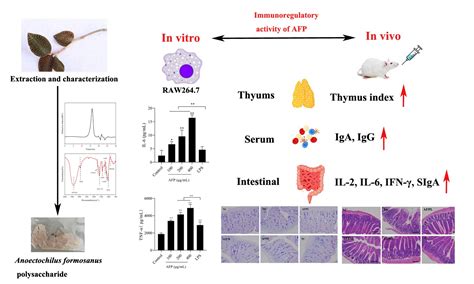 Protective Effect Of Anoectochilus Formosanus Polysaccharide Against Cyclophosphamide Induced