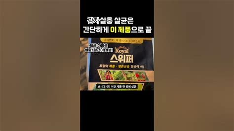 씨감자 마늘 양파 벌레 토양살충제 ‘이거 하나로 끝‘ 씨감자 고자리파리 토양살균제 Youtube