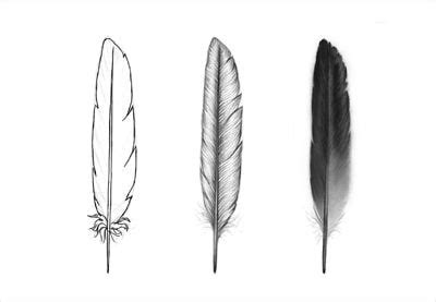 How To Draw Feathers Step By Step Guide