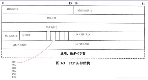 tcp报文头部结构详解和作用解析 tcp头部结构 csdn博客