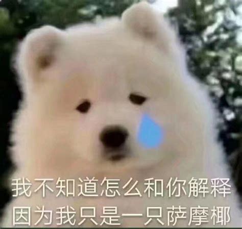 可以提供一些探头的可爱表情包嘛´ｰ∀ｰ` 知乎
