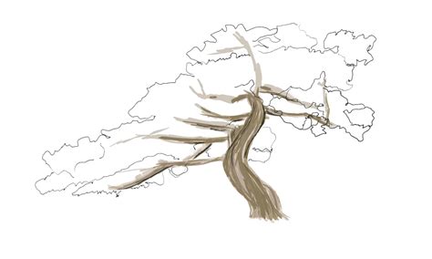 How To Draw A Tree In Simple Steps