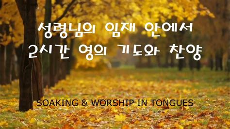 방언찬양 2시간 연속듣기 성령님의 임재 안에서 부르는 영의 즉흥적 새 노래 Worship In Tongues