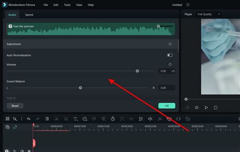 Guida Aggiunta Di Audio In Wondershare Filmora