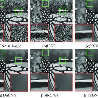 House image denoising results the noise images with σ 50