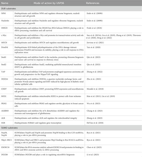 Frontiers Sumoylation Regulation Of Ribosome Biogenesis Emerging