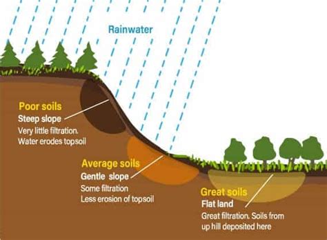 Soil Genesis Formation Of Soil Biogeography Upsc