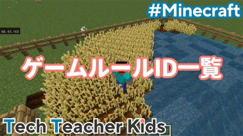 【マイクラ】「gamerule」コマンドのゲームルールid一覧！｜テックマインブログ
