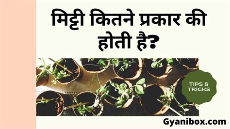 मिट्टी कितने प्रकार की होती है Mitti Kitne Prakar Ki Hoti Hai Gyanibox