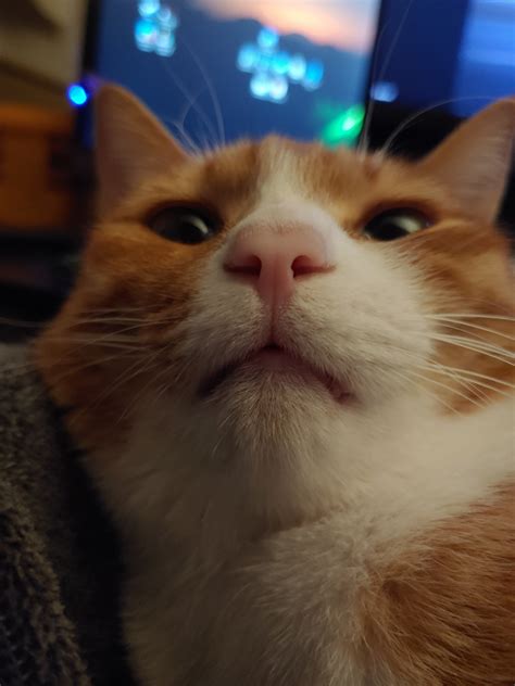 Typescript Interface Centralization In Docker Compose Msa 도커 컴포즈로 만든