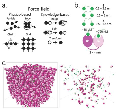 A Basic Components Of The Particle Based Simulation Approach Used Download Scientific