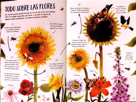 Mi Primer Libro De La Naturaleza Mateo And Leo