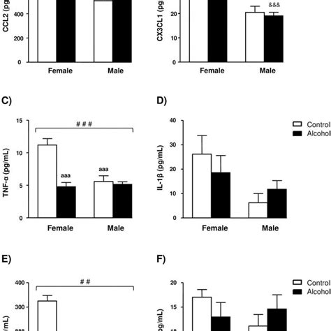 Representative Images After Histological Analysis Of Spleen Sections